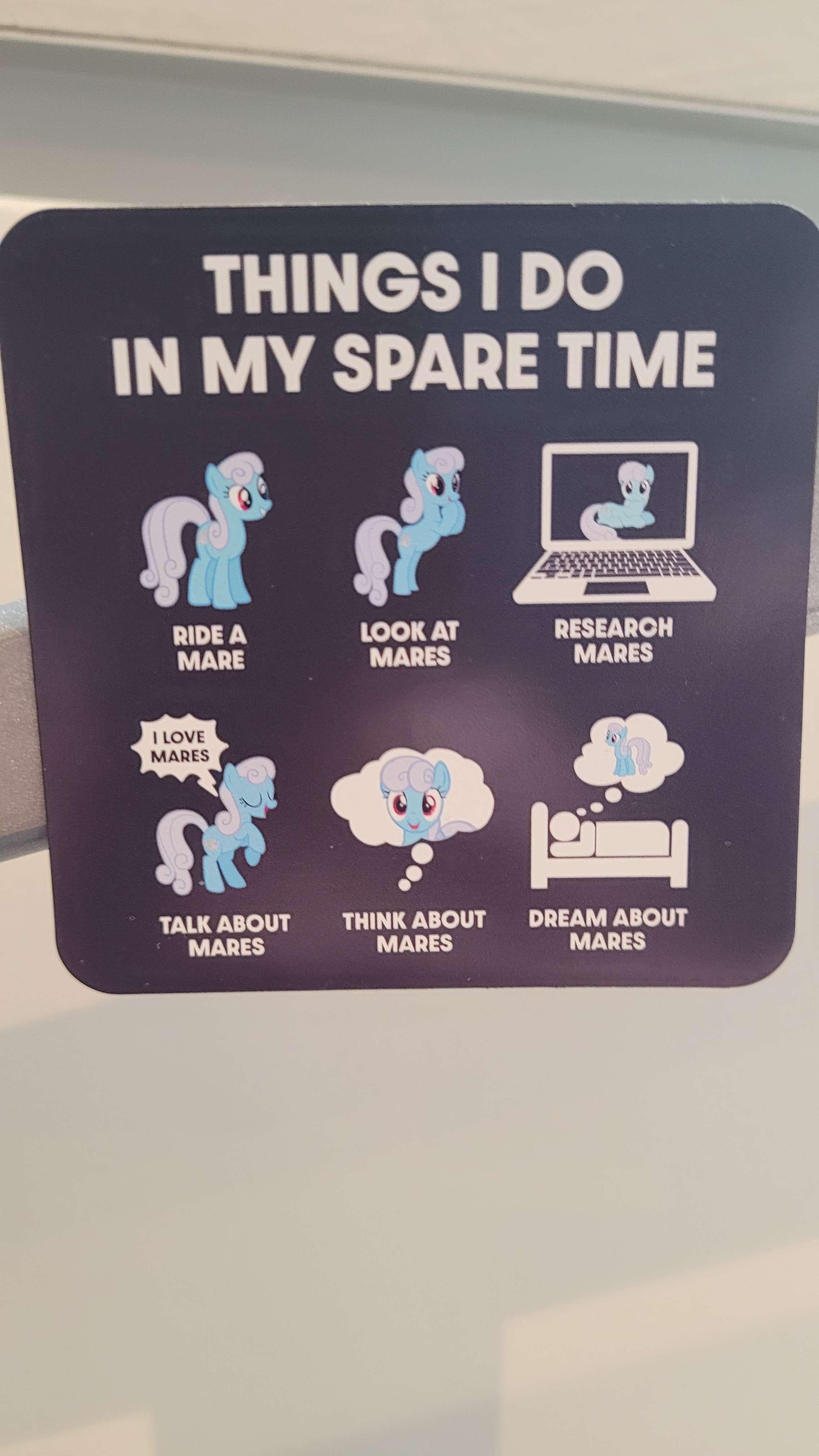 #3392085 - artist needed, safe, linky, shoeshine, earth pony, human ...