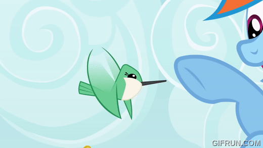 #3378396 - safe, screencap, hummingway, rainbow dash, bird, hummingbird ...
