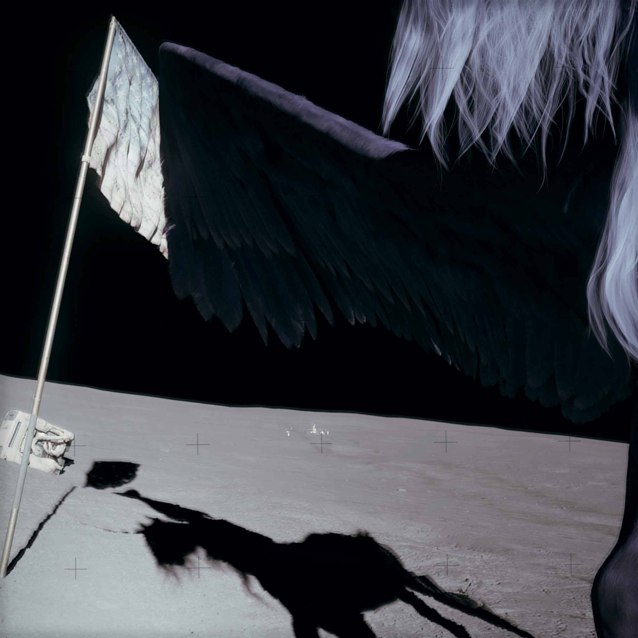 #3407567 - safe, artist:askloona, princess luna, alicorn, pony, loony ...