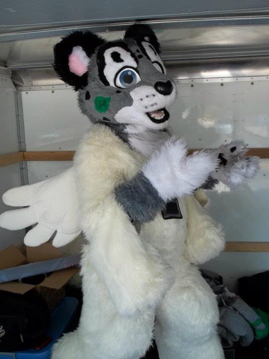 #3419884 - safe, artist:bellacoyote, fire streak, pegasus, clothes ...