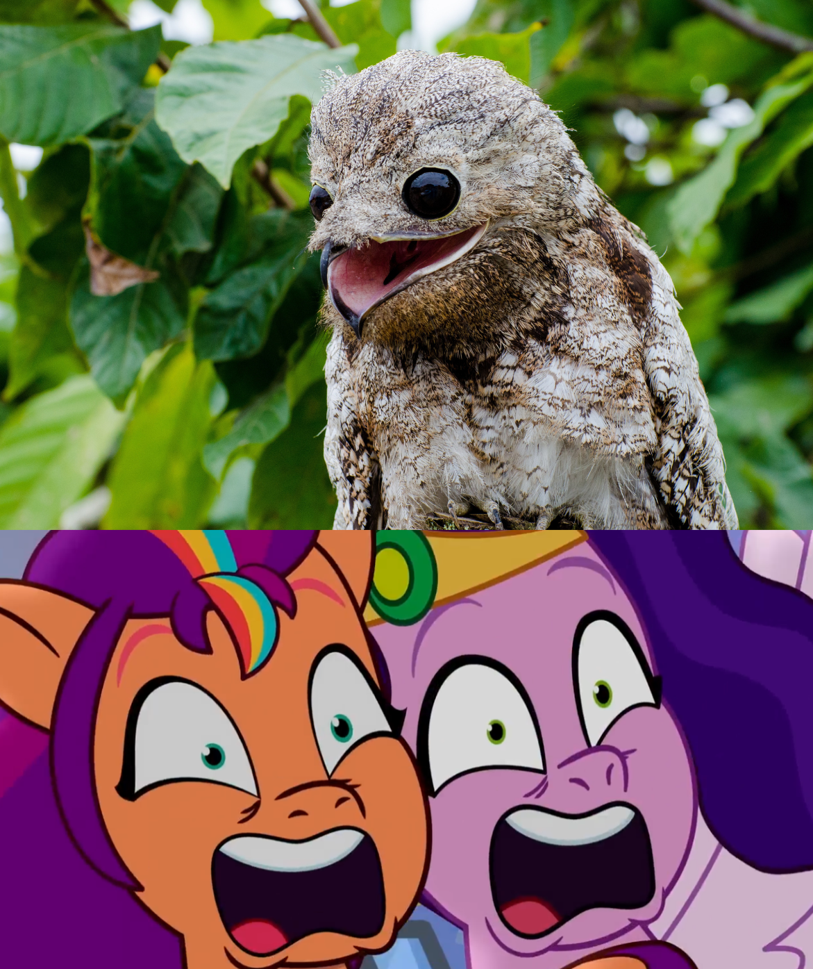 #3573417 - safe, artist:tom artista, edit, edited screencap, screencap, pipp petals, sunny ...