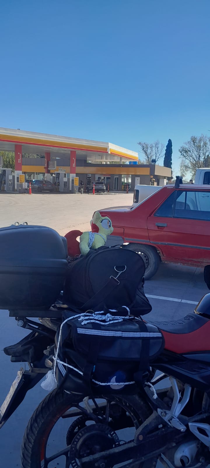 #3604399 - photographer needed, safe, apple bloom, earth pony, g4 ...