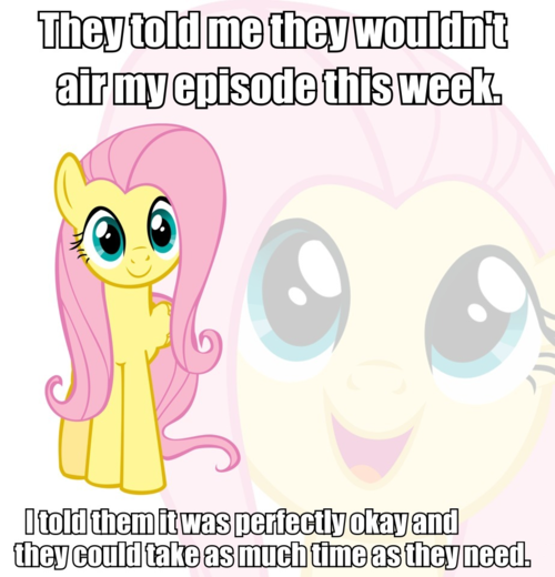 #3605386 - safe, fluttershy, pegasus, g4, breaking the fourth wall, caption, female, full body ...