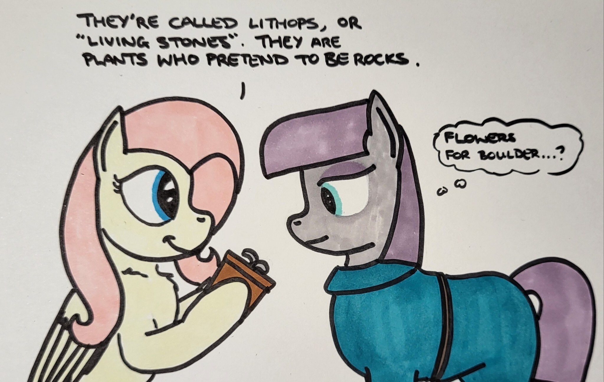 #3624772 - safe, artist:hoofclid, fluttershy, maud pie, earth pony ...