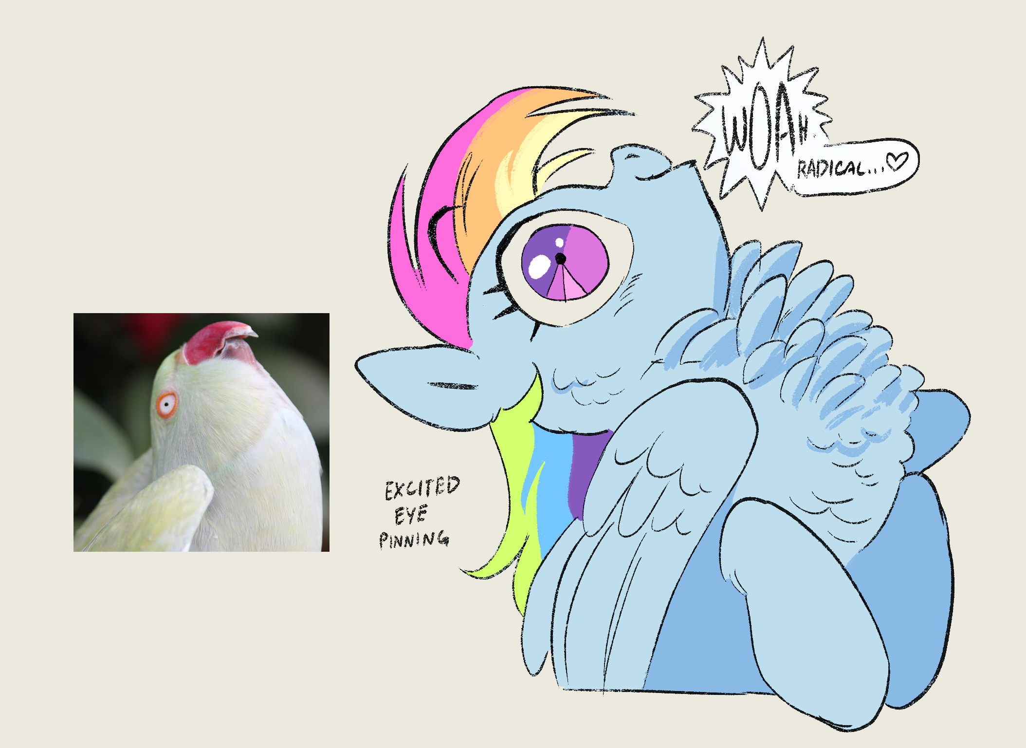 #3679341 - safe, artist:gorjee-art, rainbow dash, bird, parrot, pegasus, pony, g4, behaving like ...